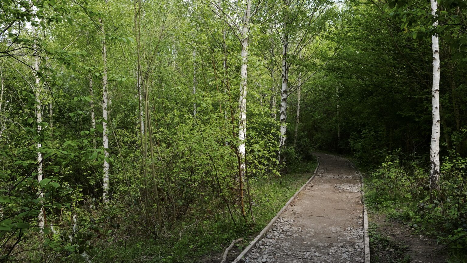 St Nicholas Fields Local Nature Reserve – Wild York