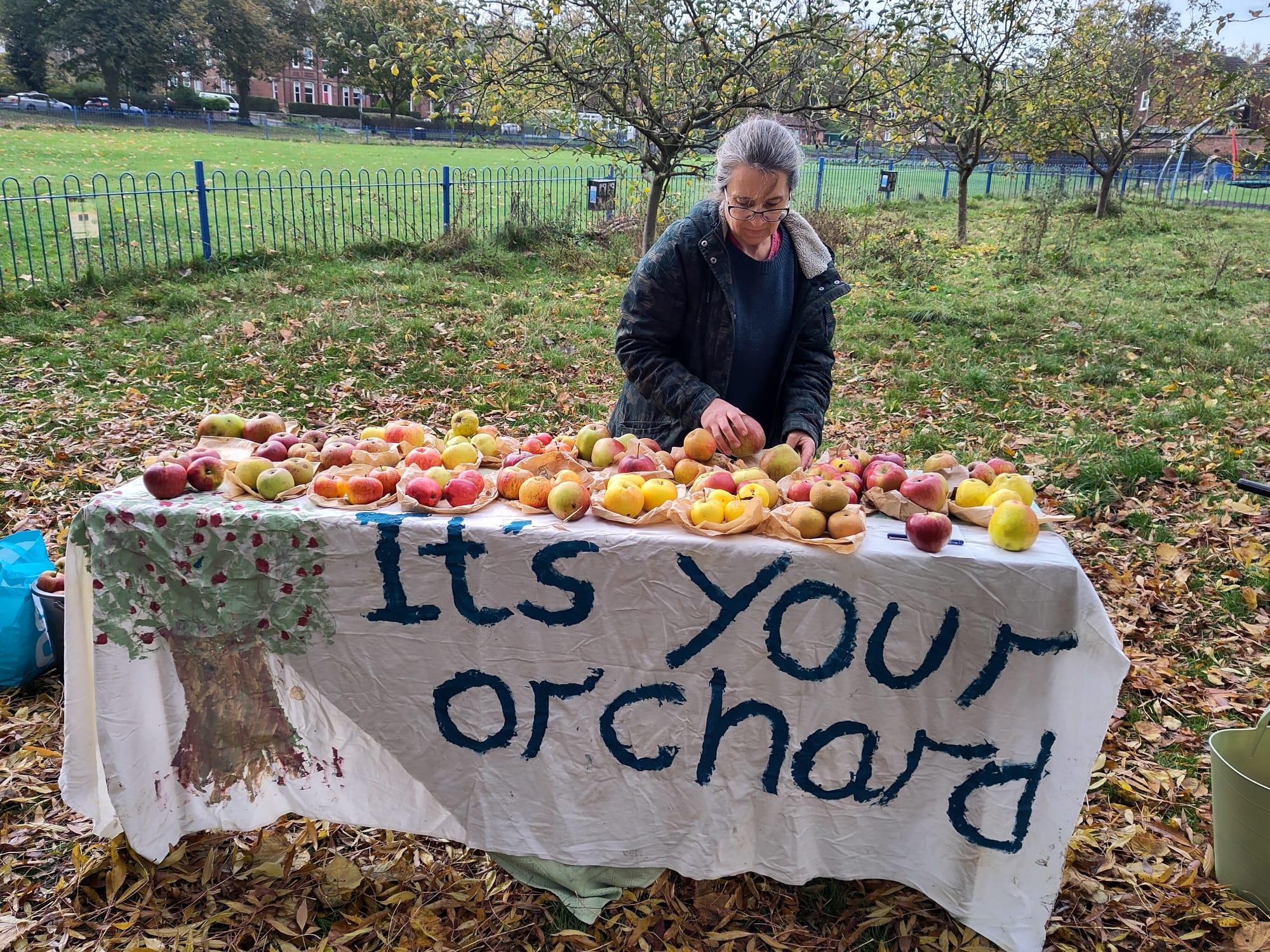 Scarcroft Community Orchard on Scarcroft Green – Wild York